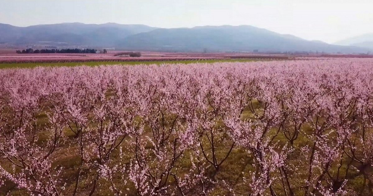 Όπου Υπάρχει Ελλάδα | Βέροια